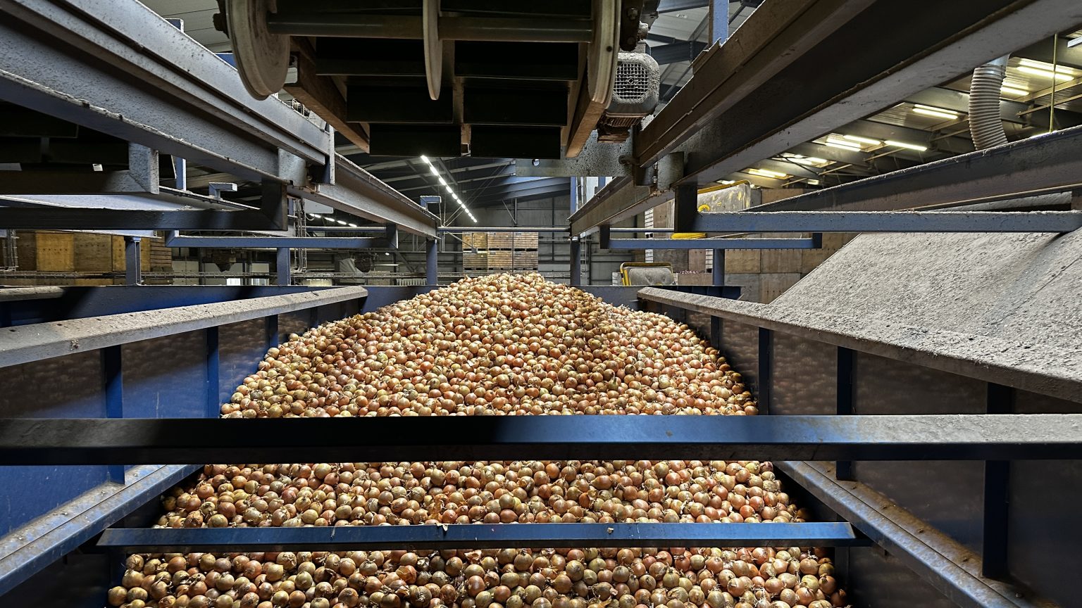 AGF Software- Skrepr